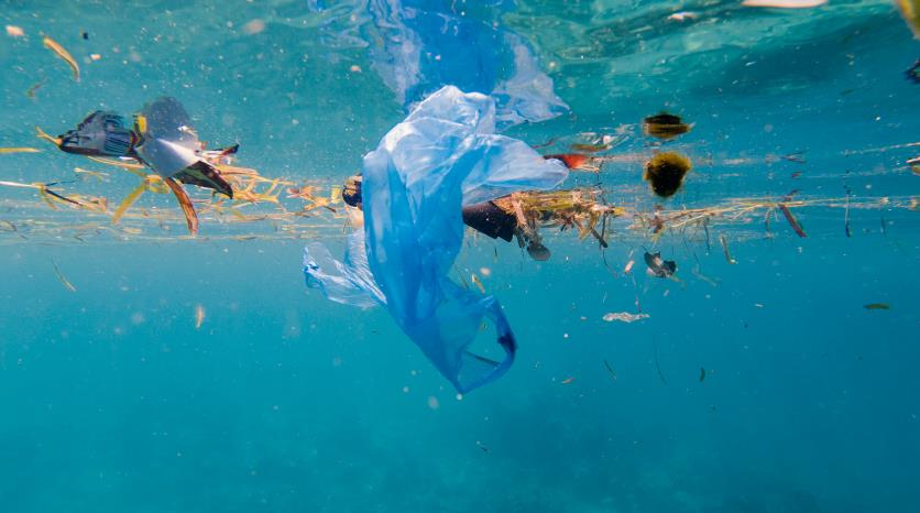 How to Stop Water Pollution at Home? - Rubbish Removal London - Waste ...